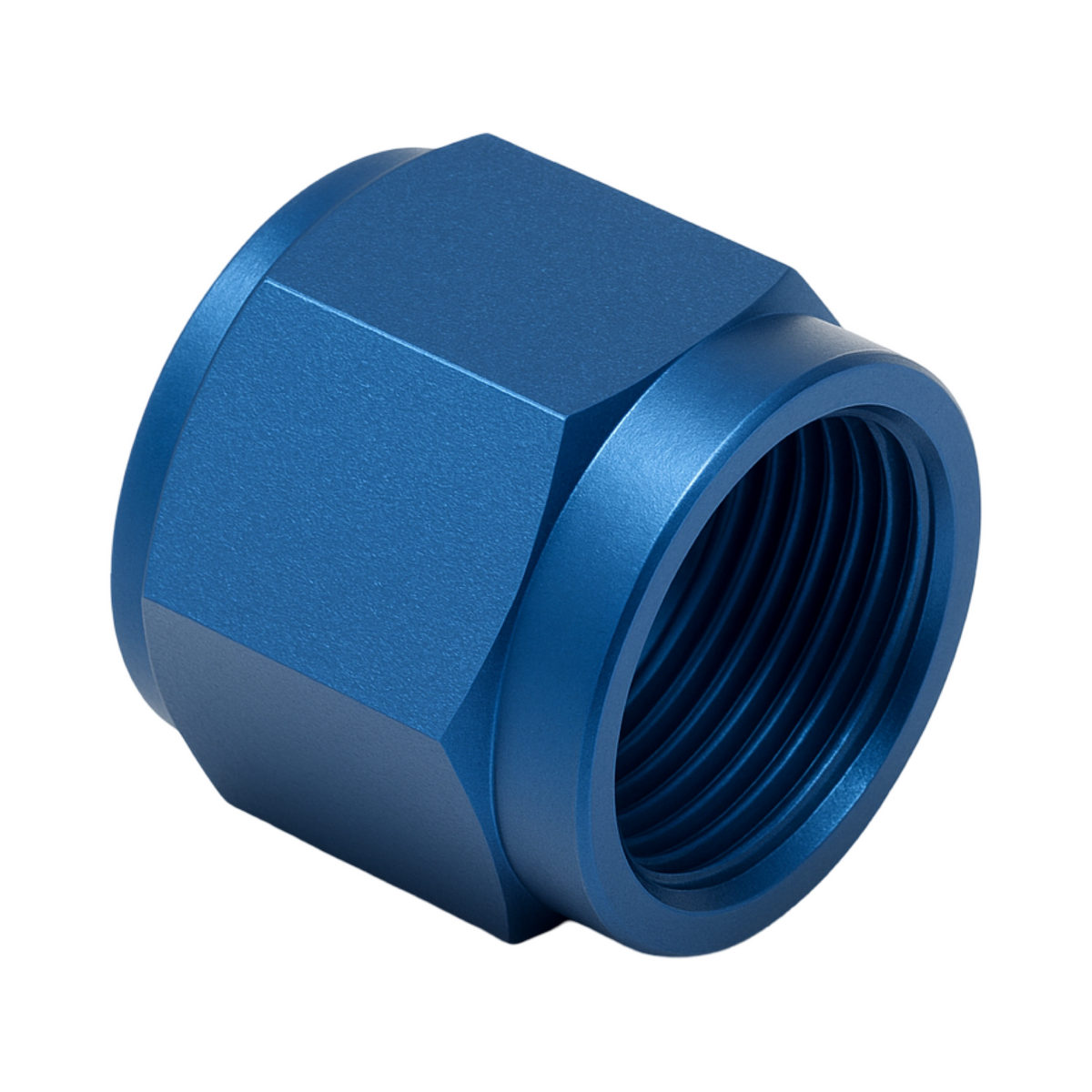 MaxFlo Motorsport AN06 End Cap Blue – Stone Motorsport